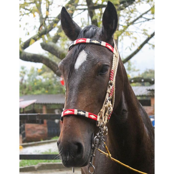 Jáquimas – Caballo Ecuestre